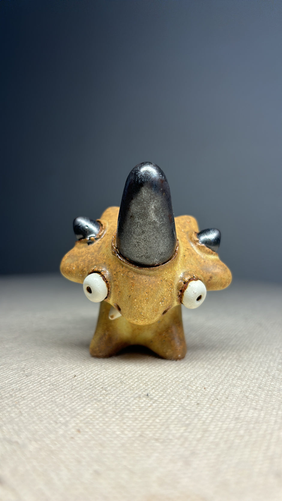 Products – Disrupted Clay