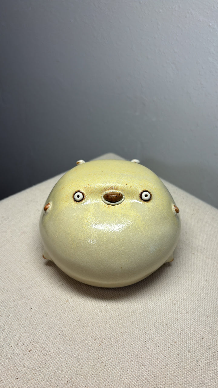 Products – Disrupted Clay