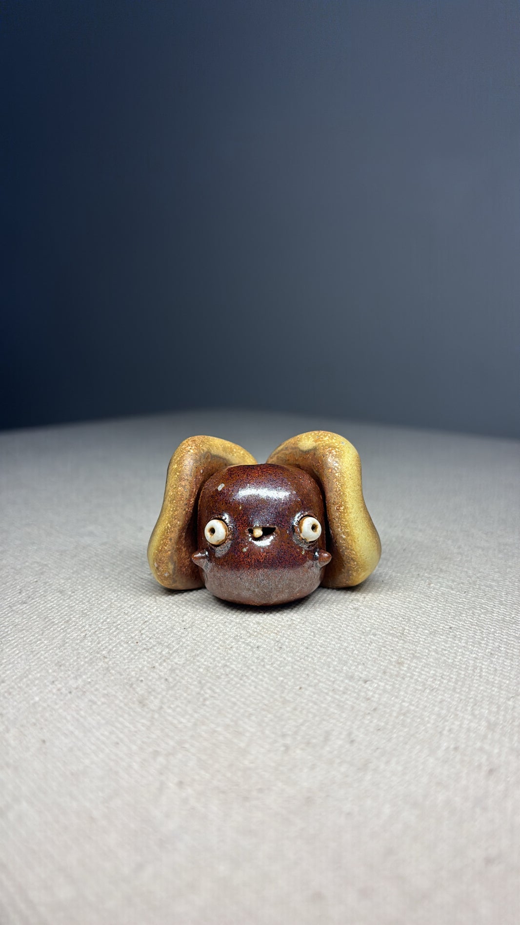 Products – Disrupted Clay