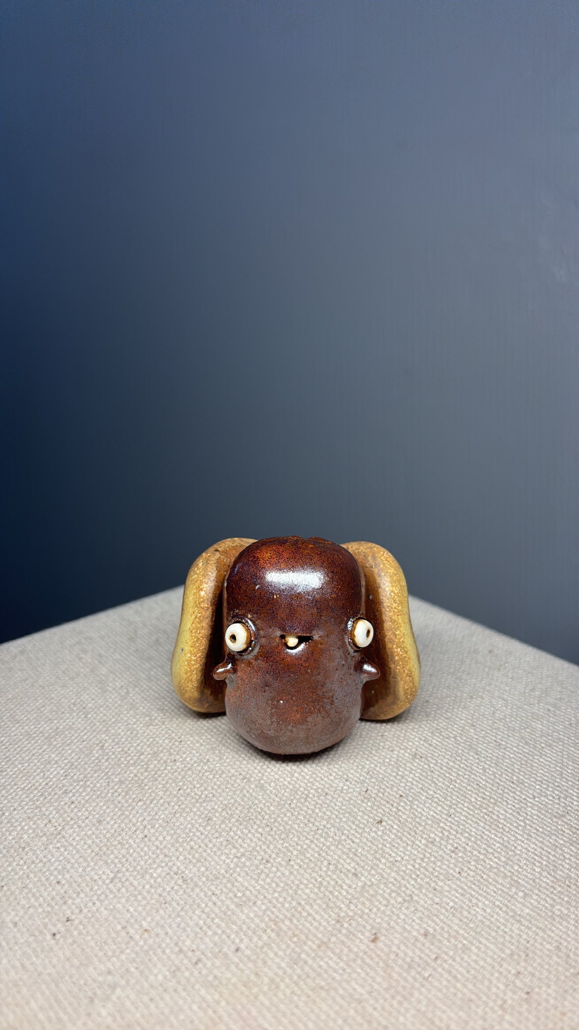 Products – Disrupted Clay