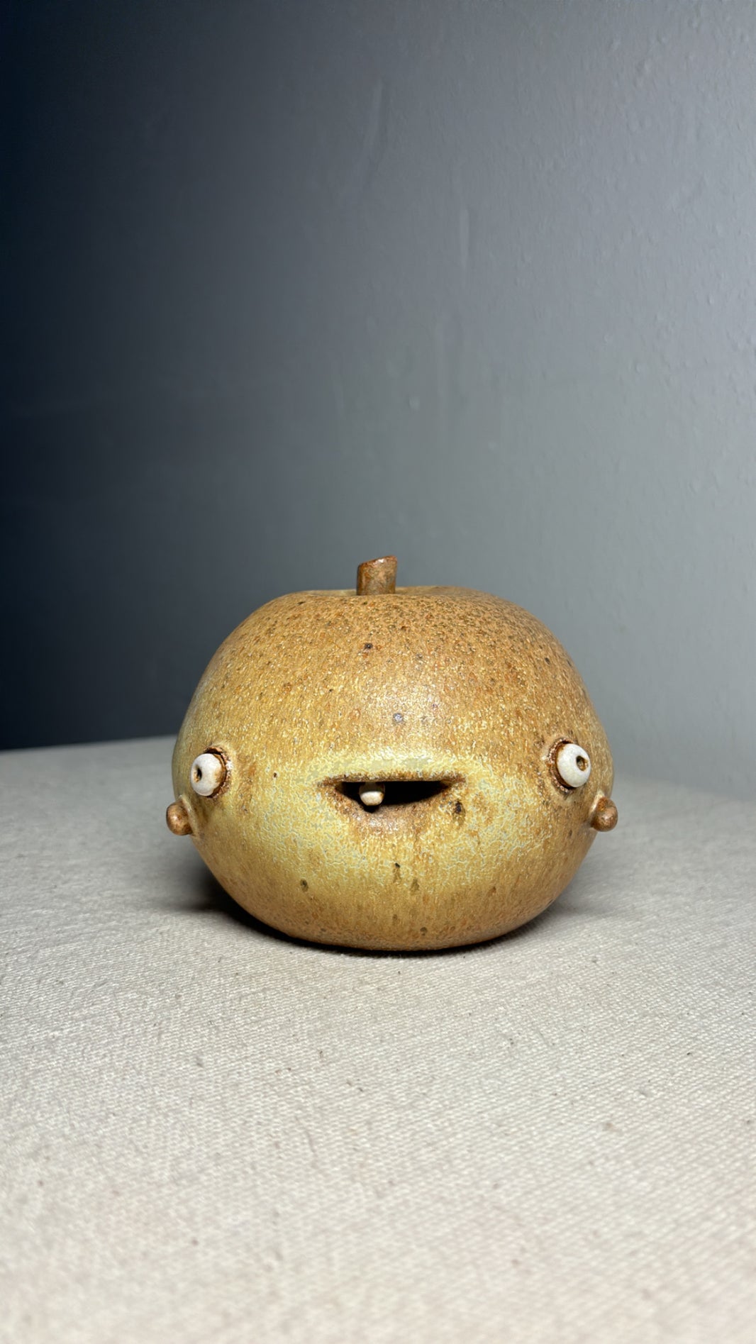 Products – Disrupted Clay