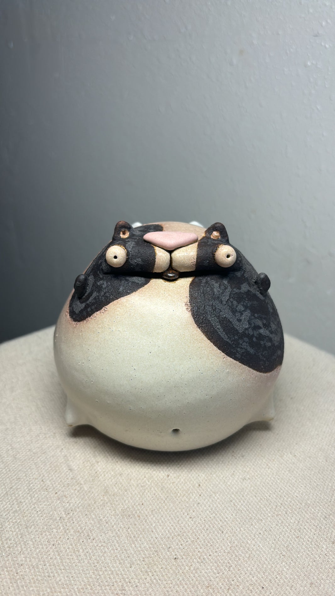 Products – Disrupted Clay